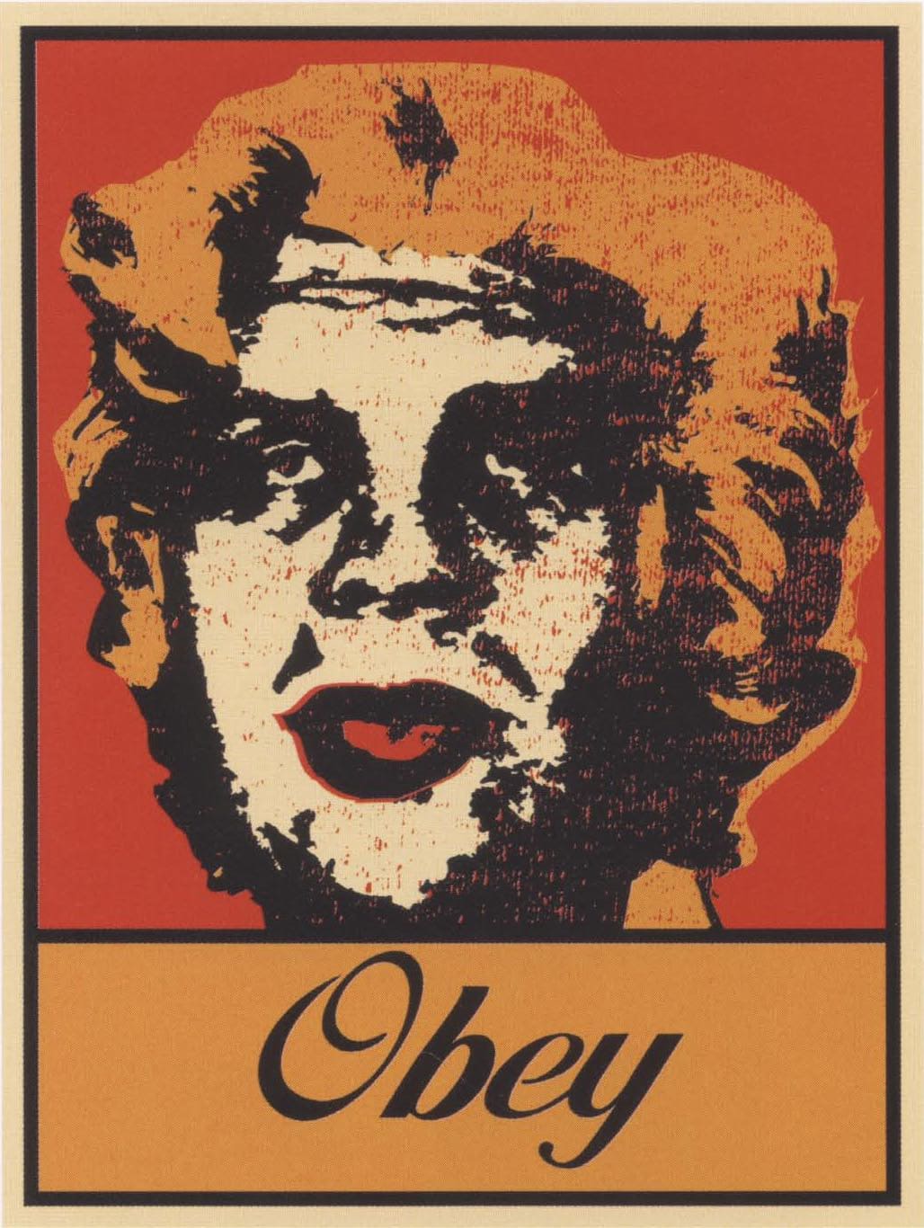 Shepard Fairey : 1001 Reasons to (dis)OBEY - La Perle