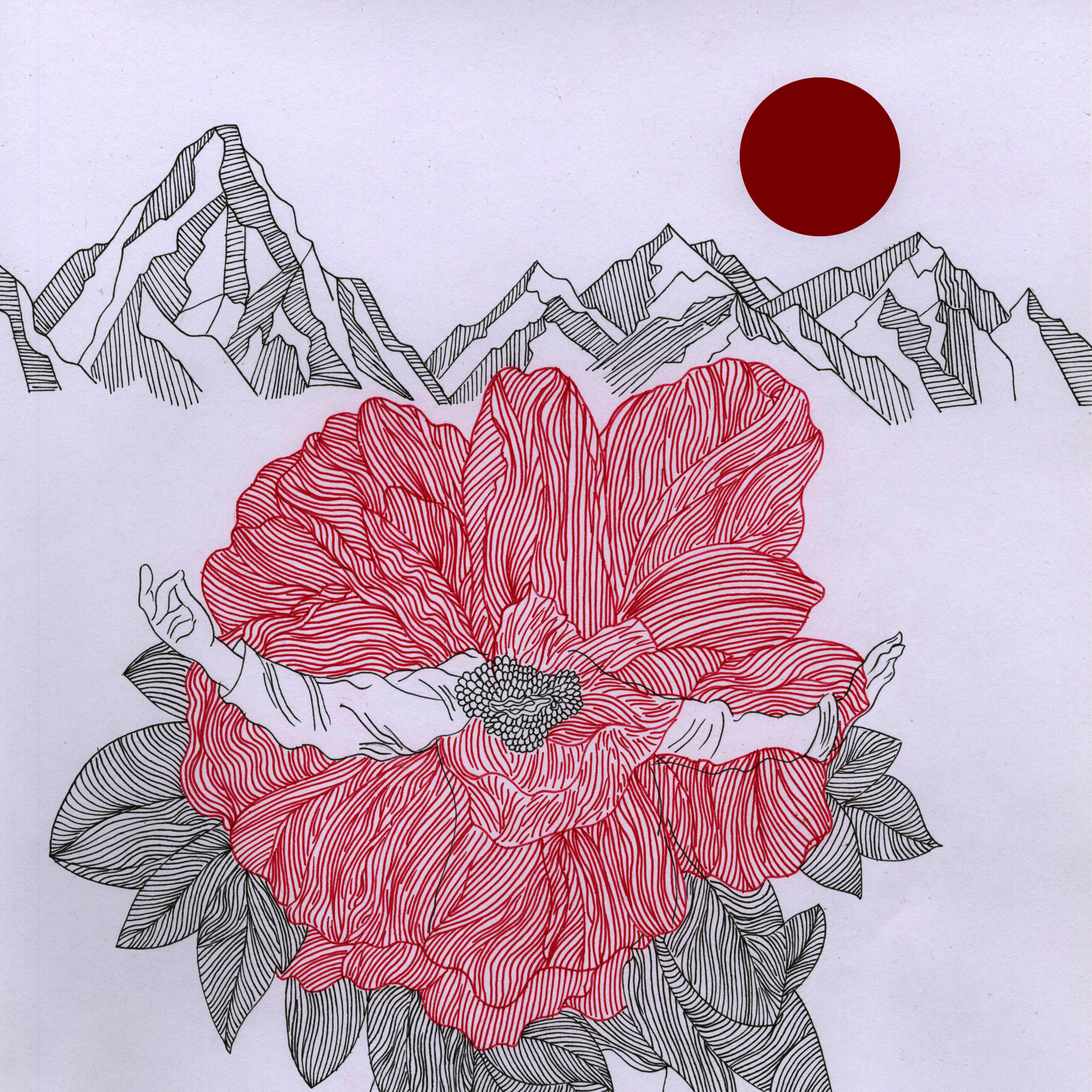 L'illustration du mois de décembre - Ghazale Bahiraie